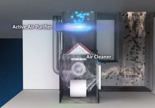 How To Purify The Air In Your Home
